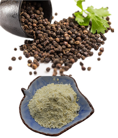 China Pure Piperine Powder Manufacturers - Hancui Kang