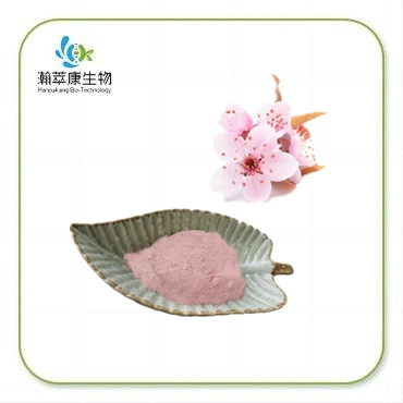 Polvo de flor de cerezo Sakura